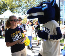 UC Davis Mascot — Soft Stuff Creations